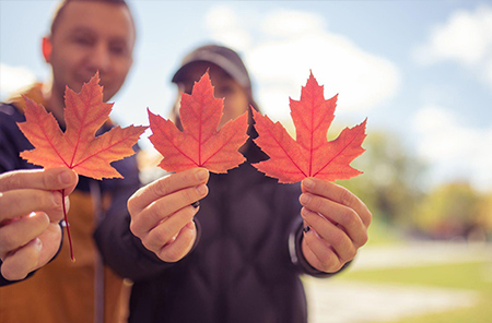 The provincial nomination - Pierway Immigration | Canadian Immigration